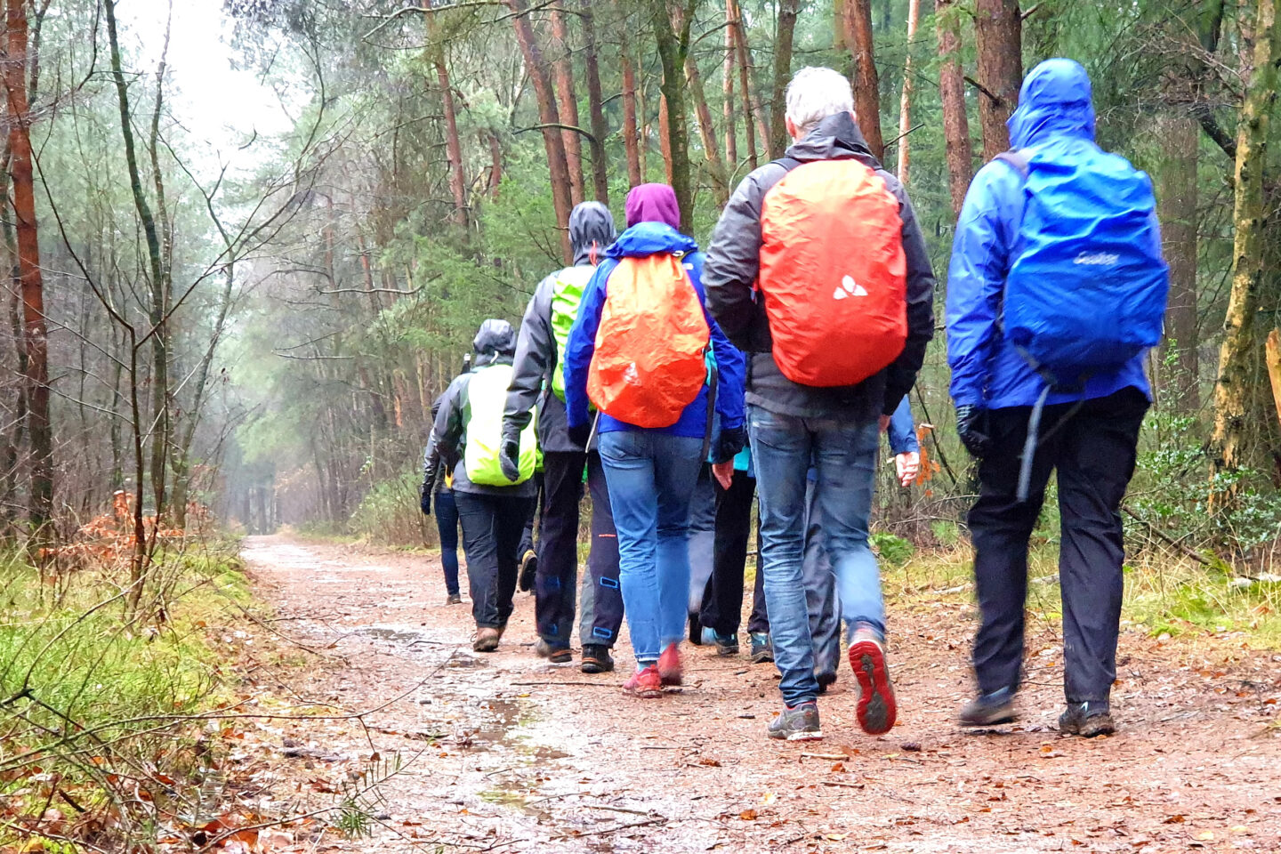 360° Walk Along / 13 oktober - Veluwezoom - Wandelvakanties van | 360 ...