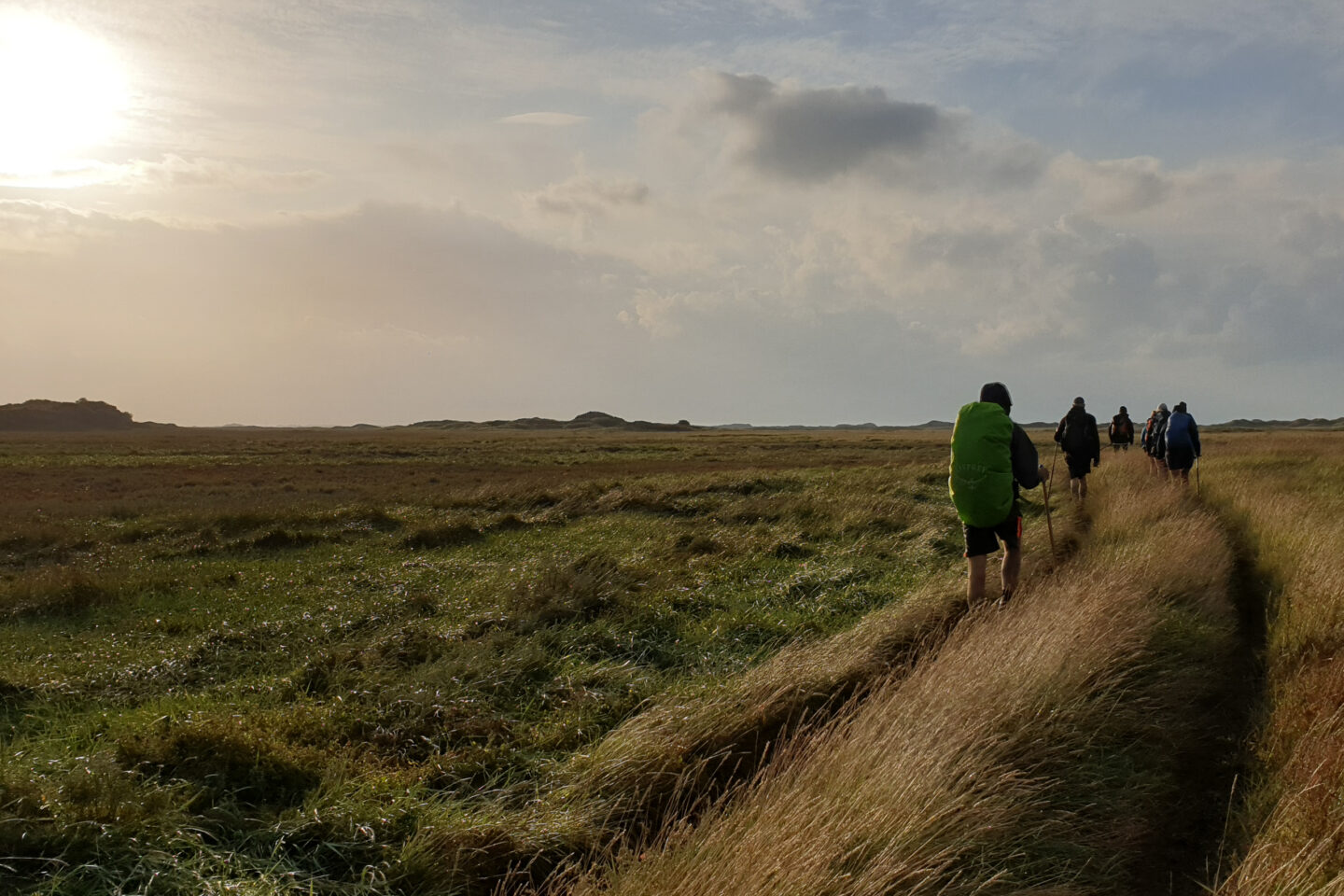 Ontdek rustige en mooie natuurgebieden Nederland