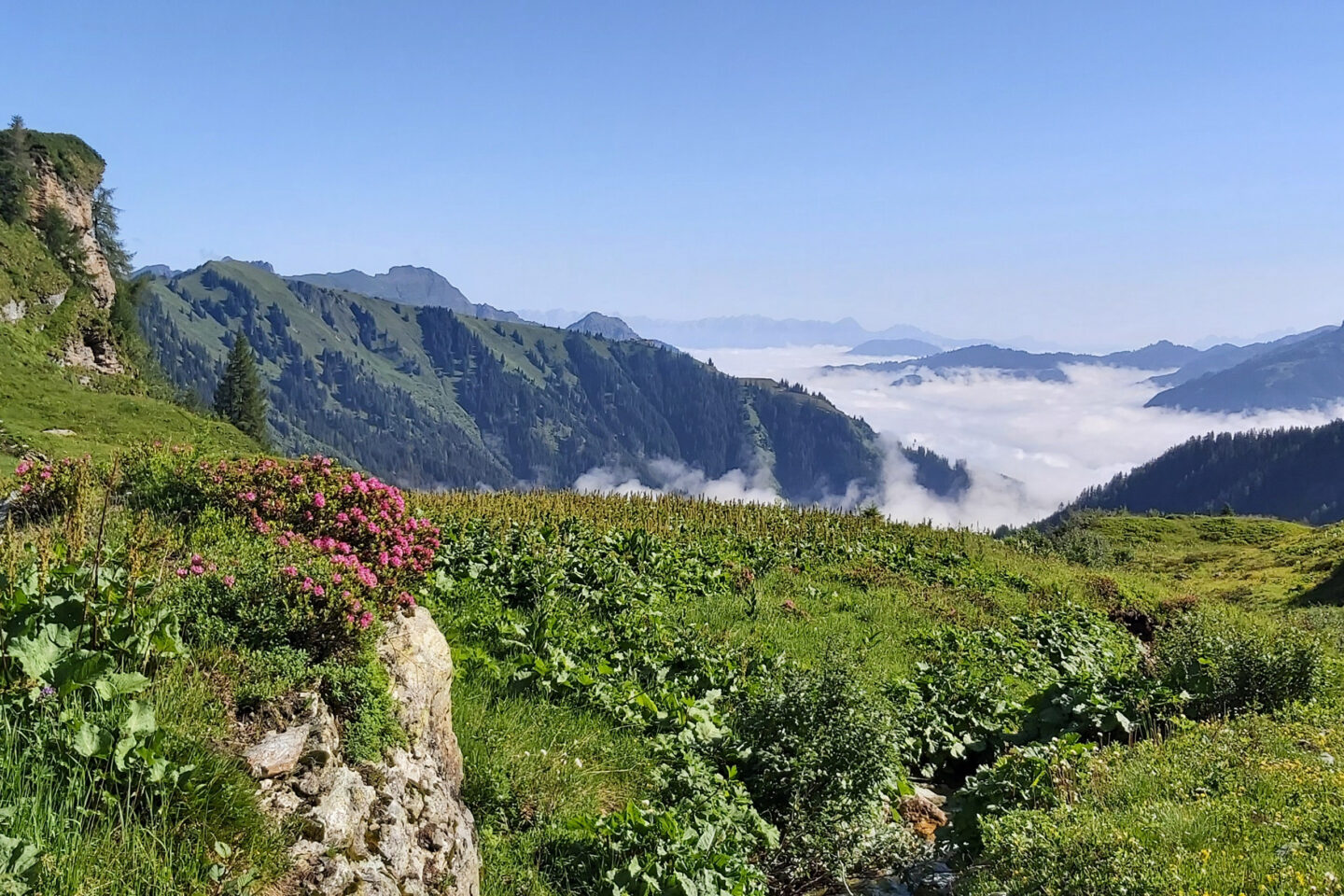 Tweeduizenders van Grossarl - Wandelvakanties van | 360° Explore