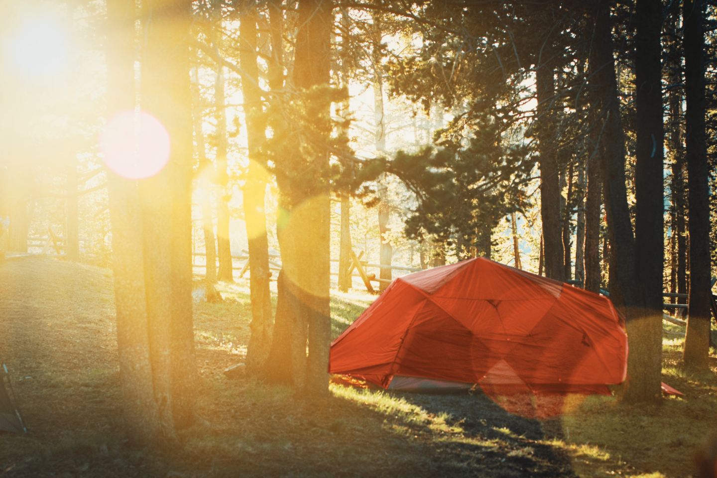 Off the grid in de Ardennen - Wandelvakanties van | 360° Explore